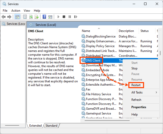 Network connection error. DNS issue