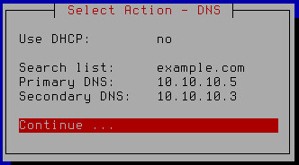 Assigning static DNS addresses