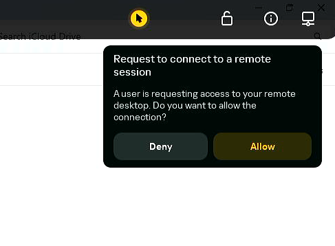 Managing access to remote management and to the remote environment screen